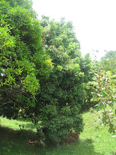 investissement ecotourisme madagascar