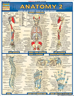 Download Free Book Series: BarCharts QuickStudy Anatomy Vol 2