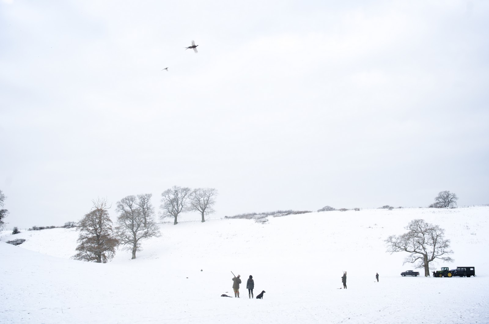 JEMMA HARDING SHOOTS: Horningsham Shoot