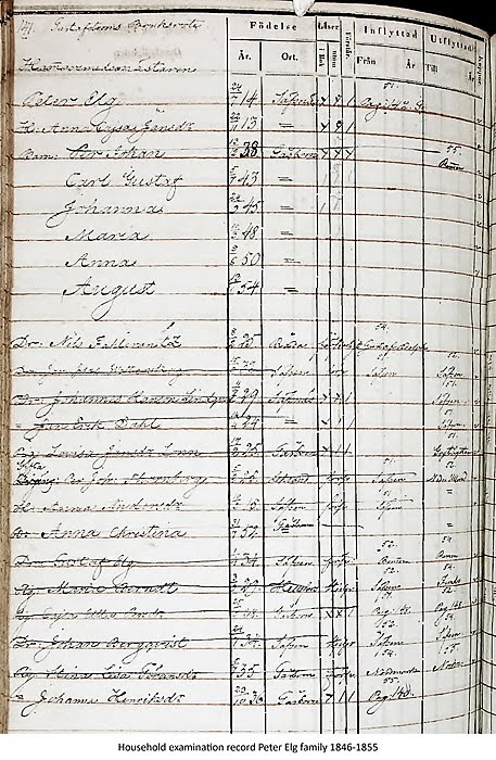 Elg family: Learning from Swedish parish records: The lives of Gustaf ...