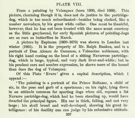 O Cao de Parar: PRÍNCIPE BALTASAR CARLOS (CAÇADOR) POR VELÁZQUEZ ...