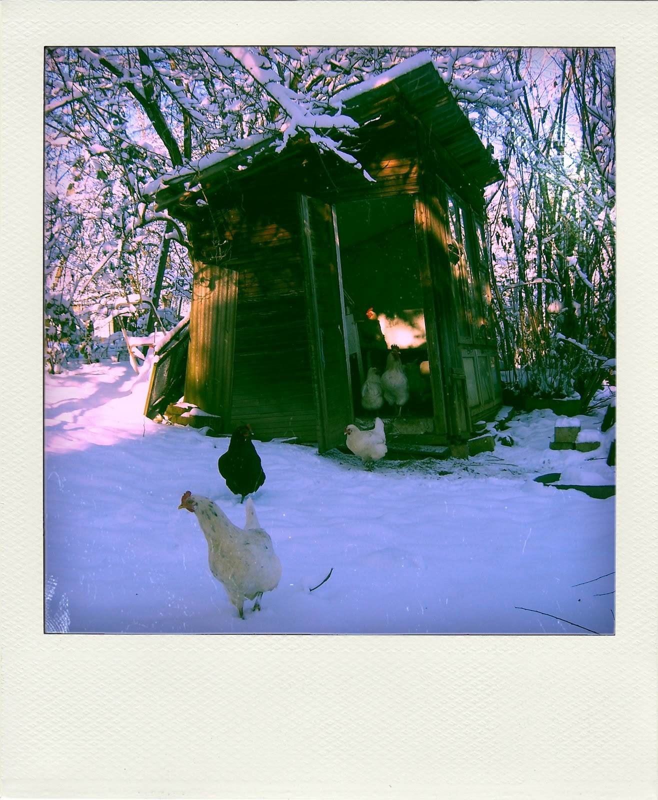 The Paris Market & Brocante: Polaroids from Paris: {German Snow Scene}