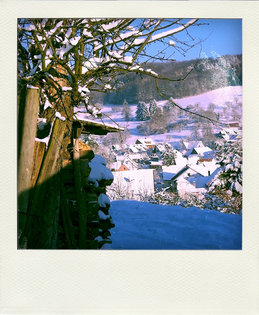 The Paris Market & Brocante: Polaroids from Paris: {German Snow Scene}