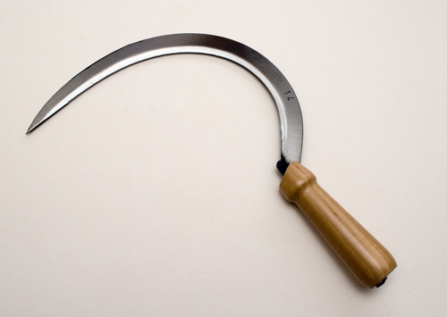 INTERLOKAL: RAYMOND: SEPTEMBER AND OCTOBER