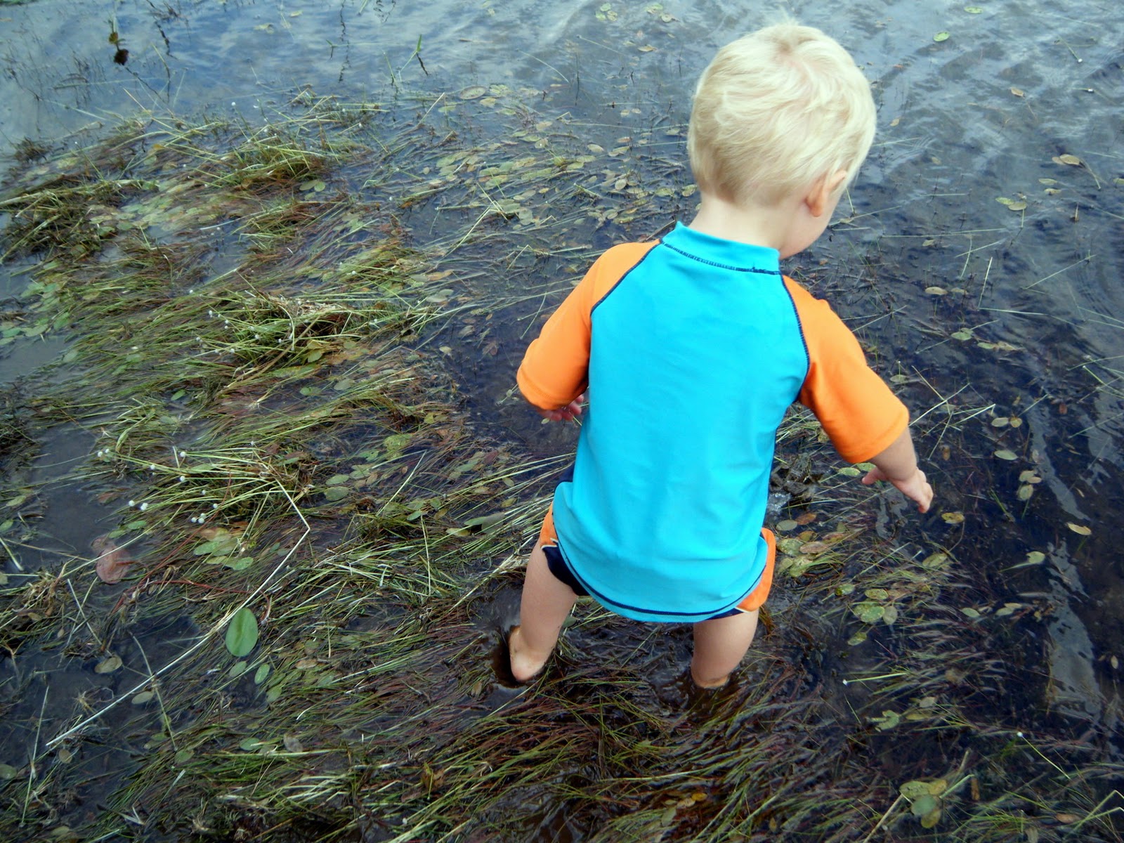 (abundant) Life with kids: Catching Frogs