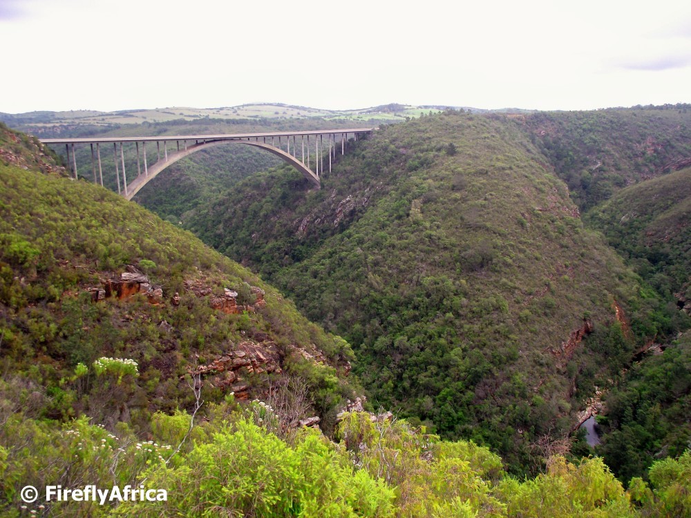 Port Elizabeth Daily Photo: Van Stadens Gorge