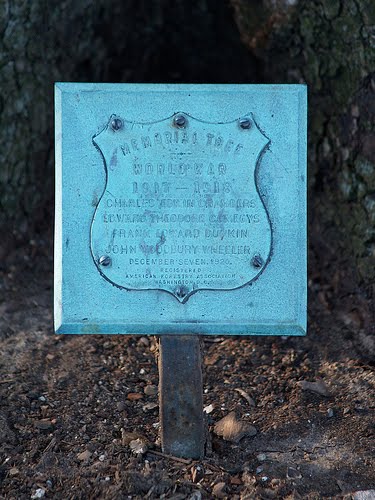 Library History Buff Blog: Library of Congress War Memorial Tree