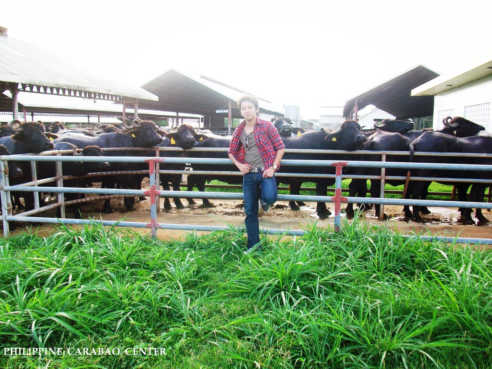 I am [Shernan]: The Philippine Carabao Center (PCC)