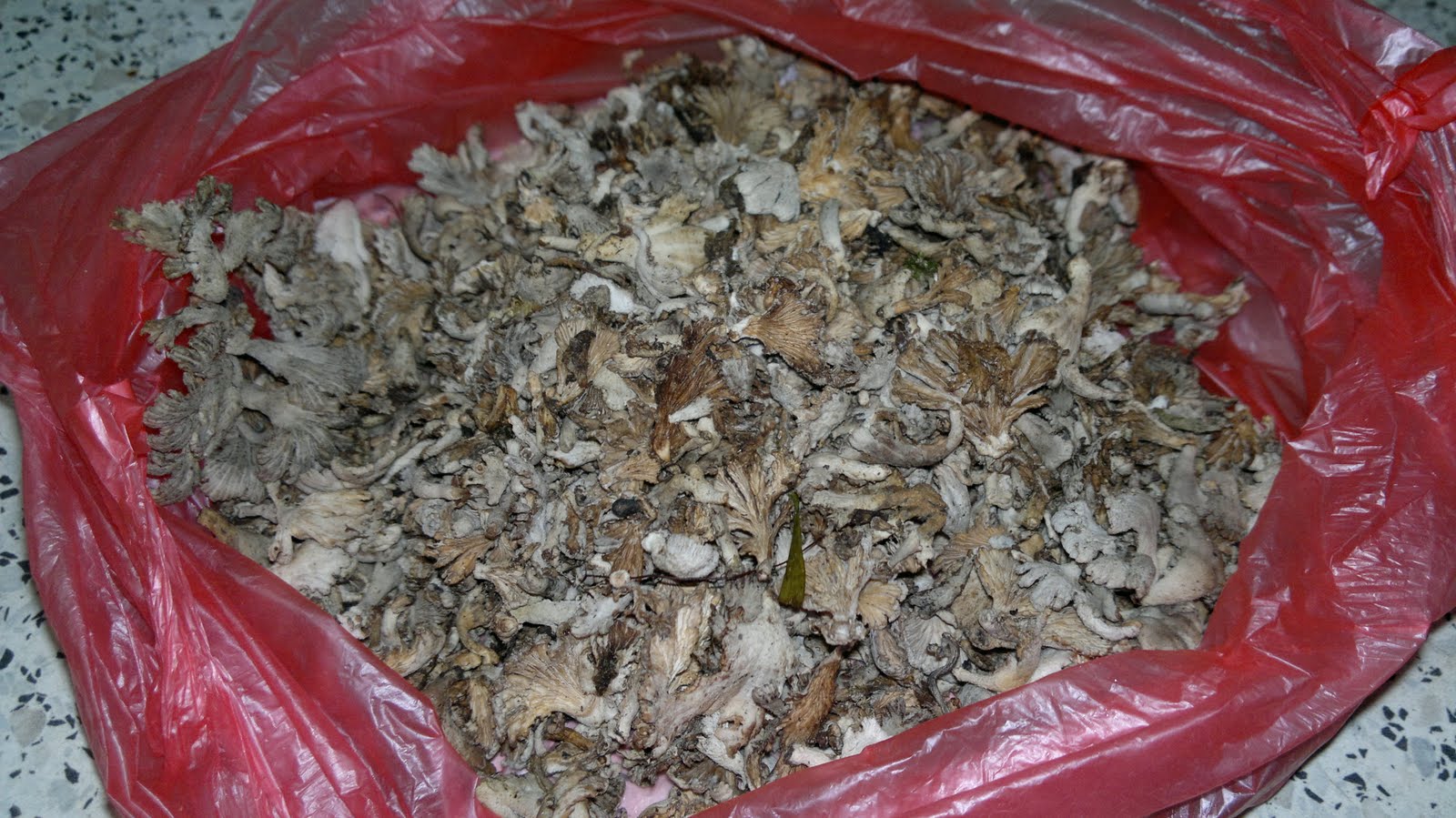 DENAI BERBISIK: sayur cendawan kukur aka cendawan batang getah