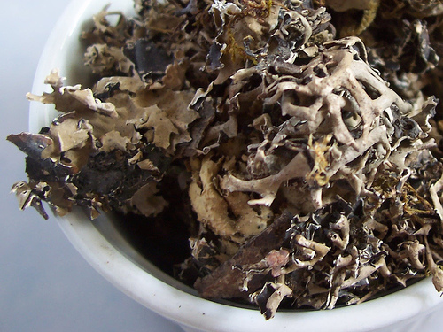 Everyday Indian: Tomato Curry