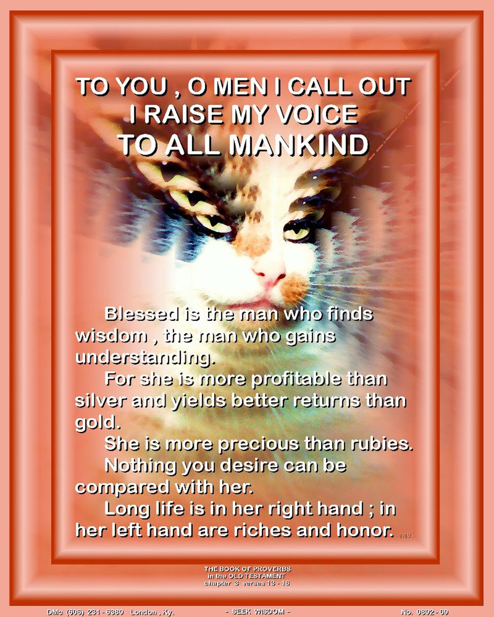 CRYING IN THE WILDERNESS: DOES NOT WISDOM CRY OUT, AND UNDERSTANDING ...