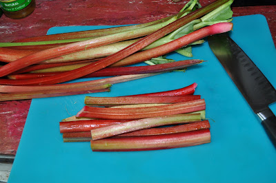 Michigan Cottage Cook: FROM AMERICA'S HEARTLAND RHUBARB CUSTARD KUCHEN