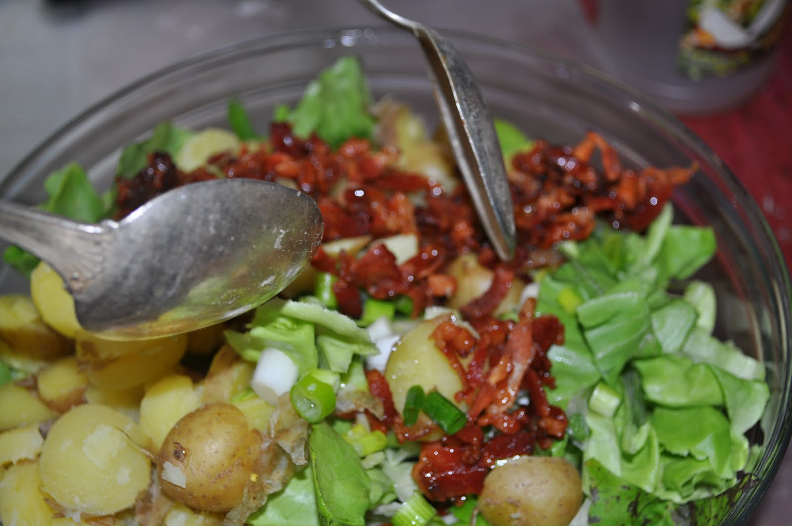 Michigan Cottage Cook: HOT DUTCH POTATO SALAD--WARME DUTCH AARDAPPEL ...