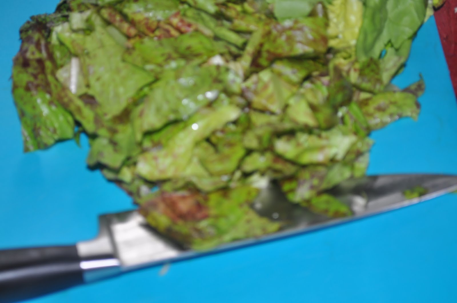 Michigan Cottage Cook: HOT DUTCH POTATO SALAD--WARME DUTCH AARDAPPEL ...