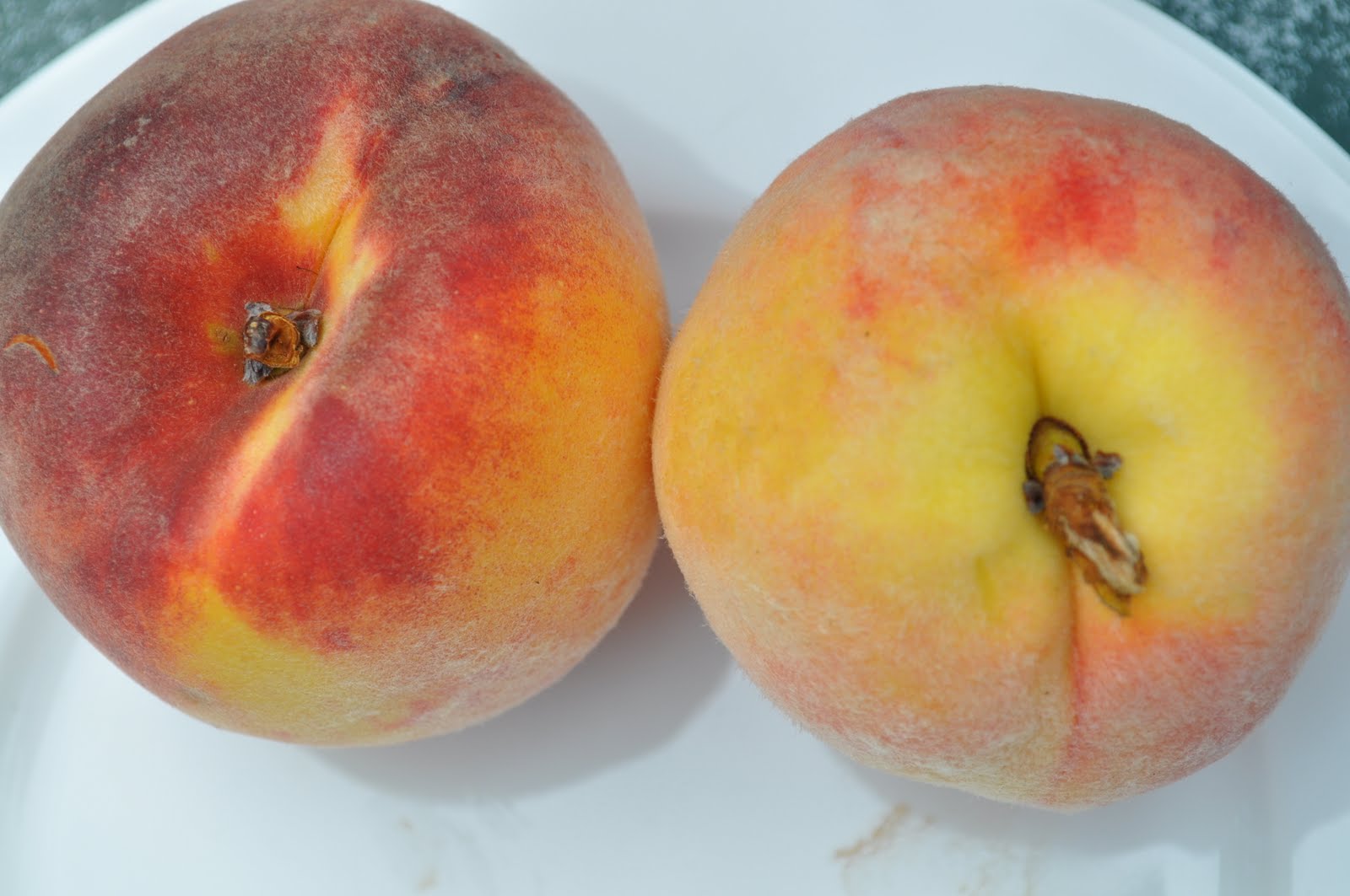 Michigan Cottage Cook: PEACH BUYING TIPS AND RIPENING HINTS