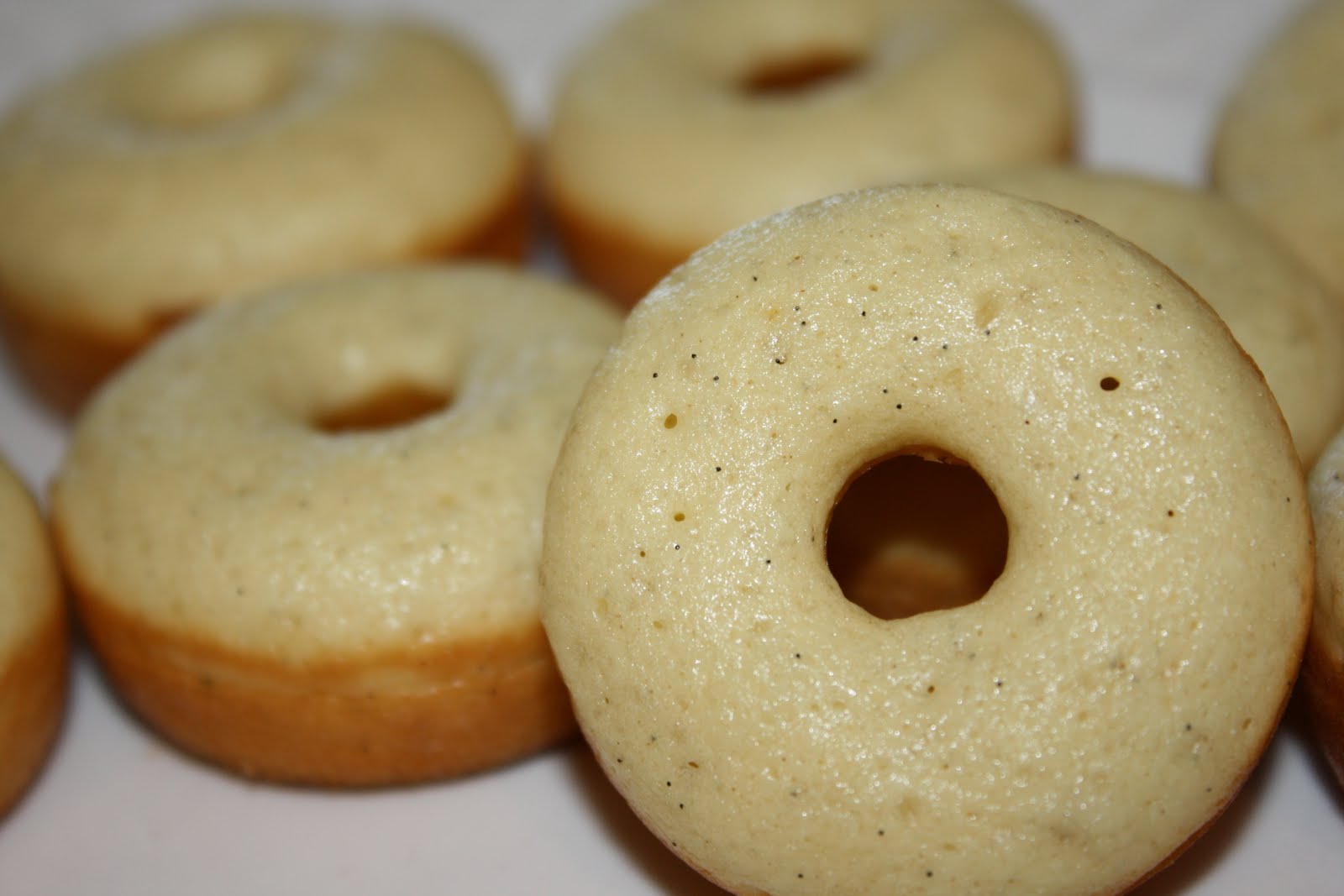 The Bitchin' Kitchin': Vanilla Bean Mini Donuts