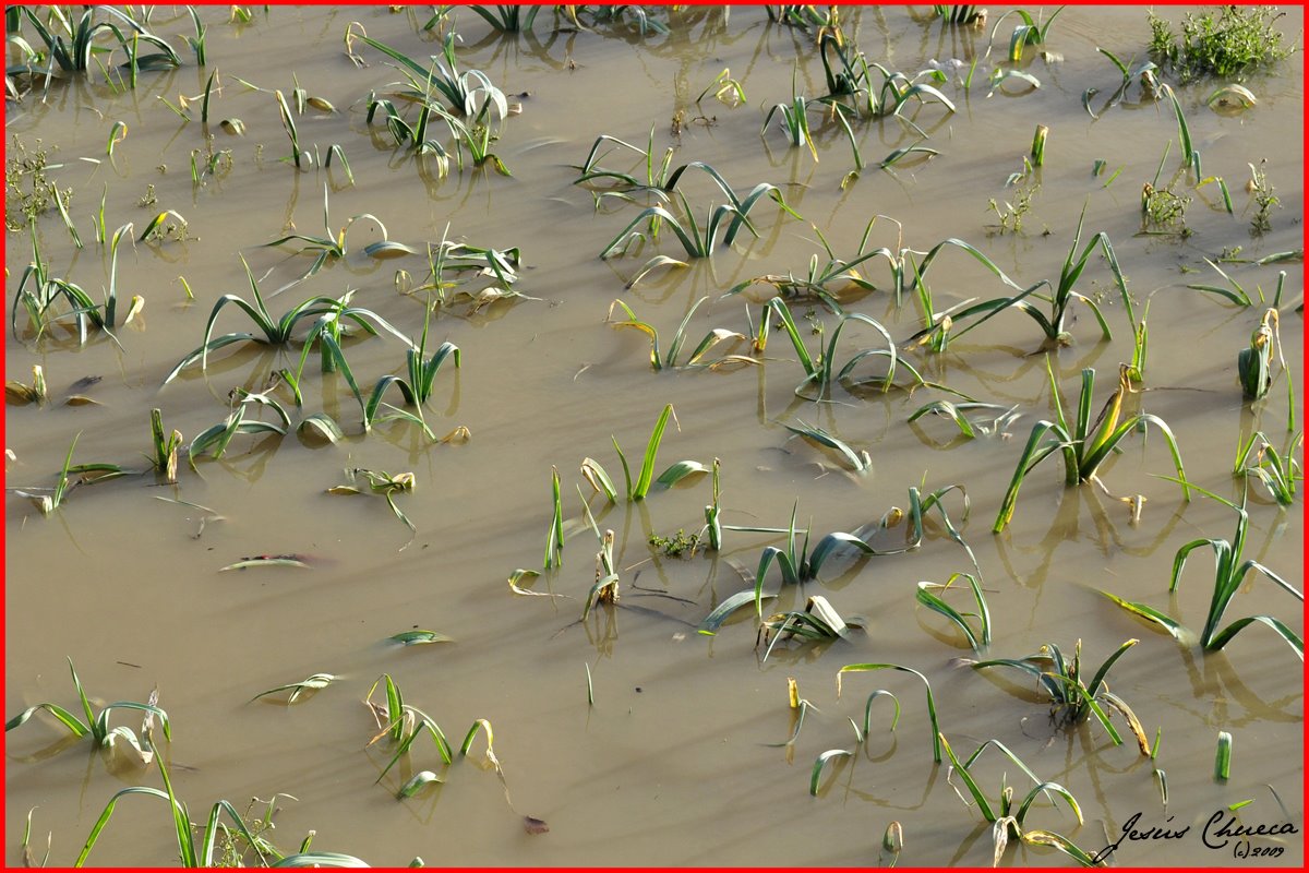 Valle de Ezcabarte: Riada en Arre ( Valle de Ezcabarte )