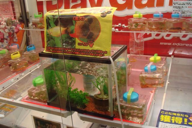 A great lover of Tokyo!: Crane machines