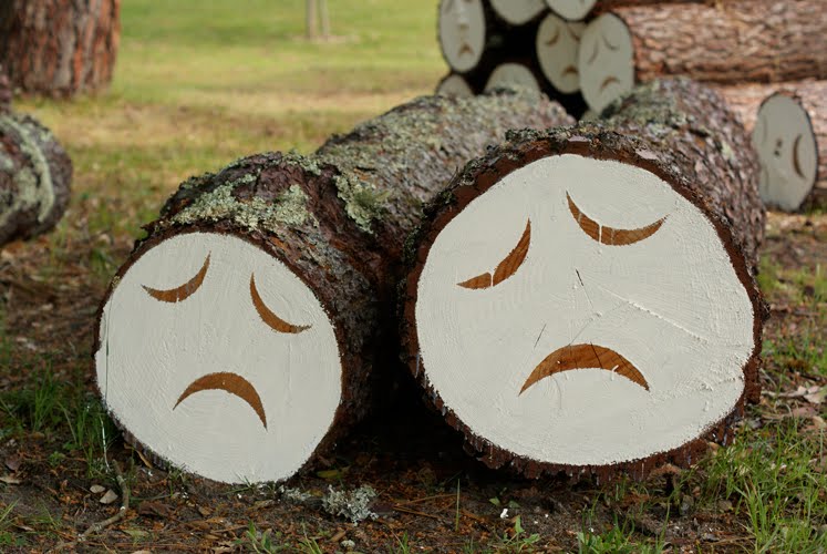 LUCKY LEFT HAND: 20 Poor Little Trees