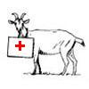 Goats in the Garden: Goat Supplies and First Aid Kit