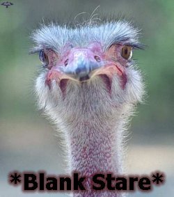 Drop a Word, Add a Word Game - Page 1128 - Stormfront