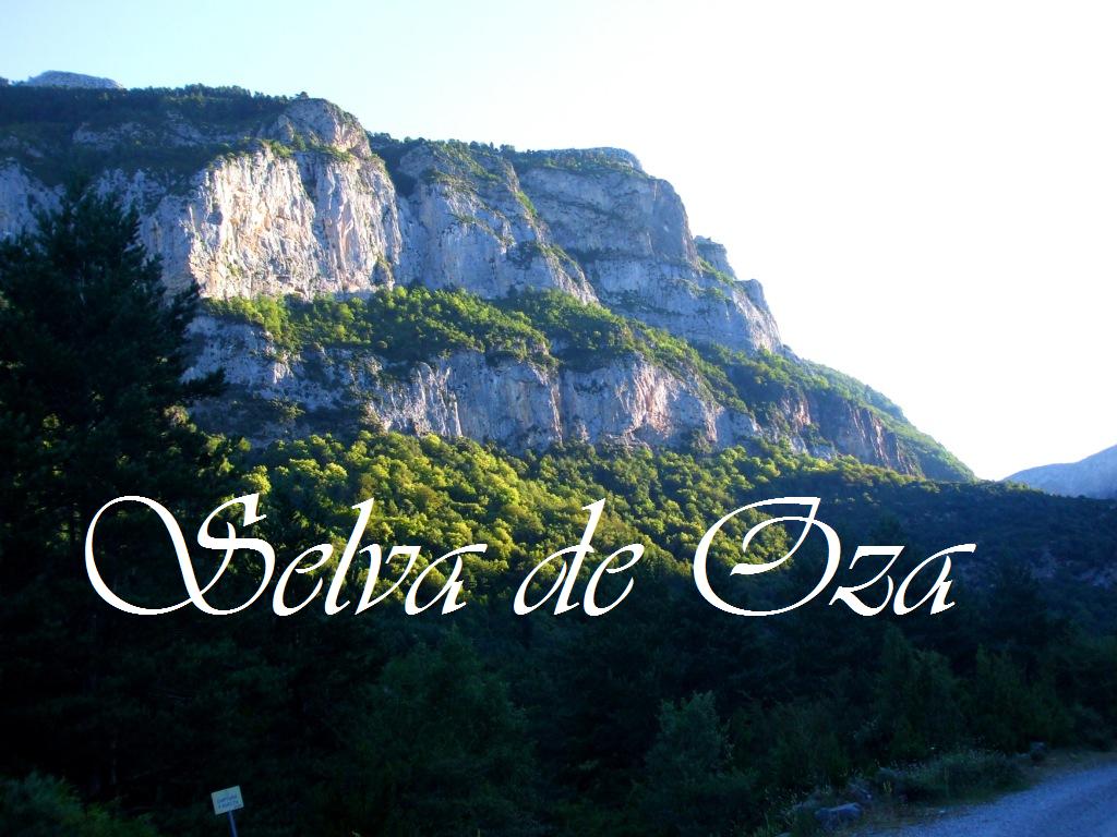 A pelo y pluma-- Flyfishing blog: Selva de Oza