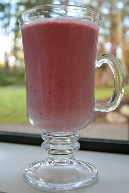 Eagle Loft Kitchen: Vitamix Recipe: Strawberry Milkshake (Dairy-free of ...