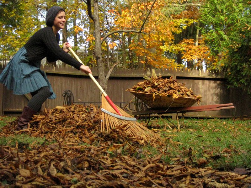 Q's Daydream: Autumn Leaves...