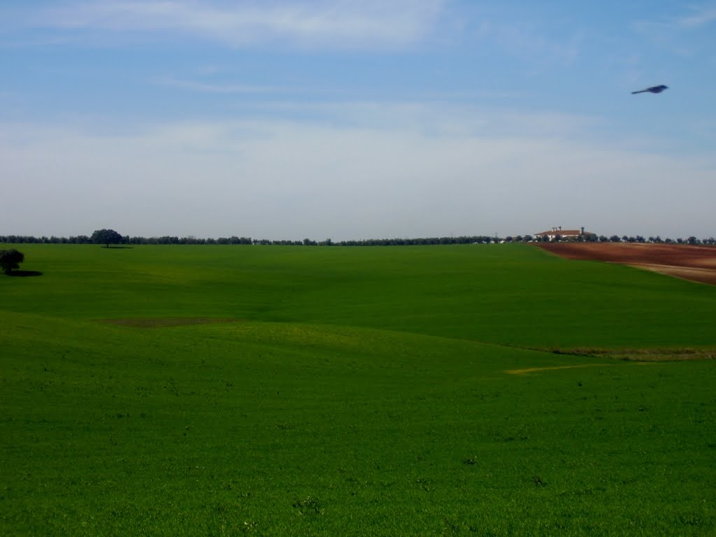 só planície: só planície