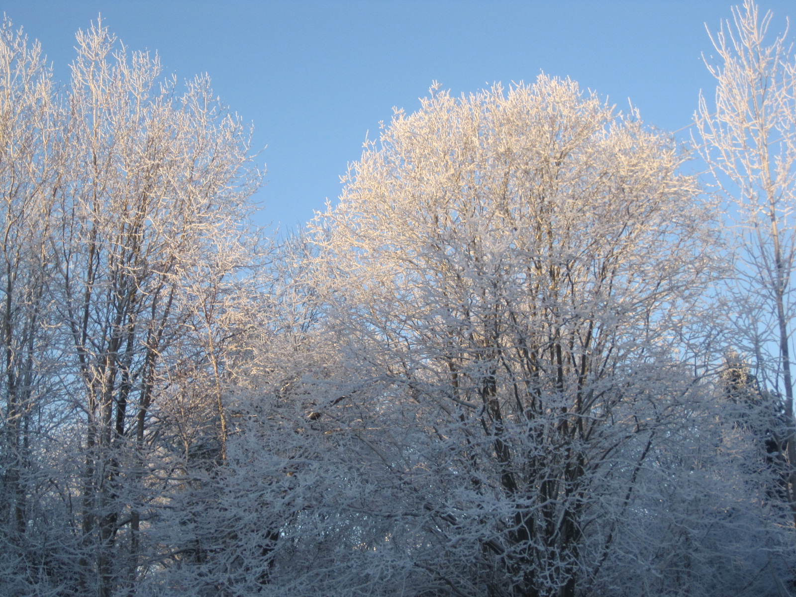 Swede Saga: Winter in Sweden