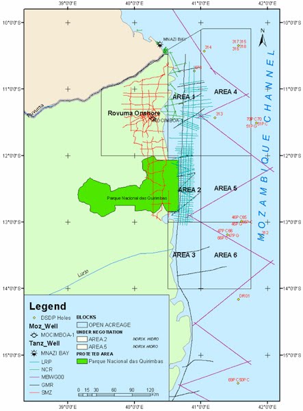 EagleSpeak: Adding to the Maritime Security Mix: First deepwater oil ...