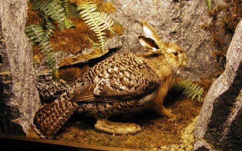 Mats ordenruntresa: Rötmånad - dags för konstigheter