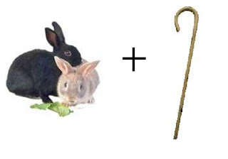 TEMPOS COMPOSTOS: Expressões ilustradas - matar dois coelhos de uma ...