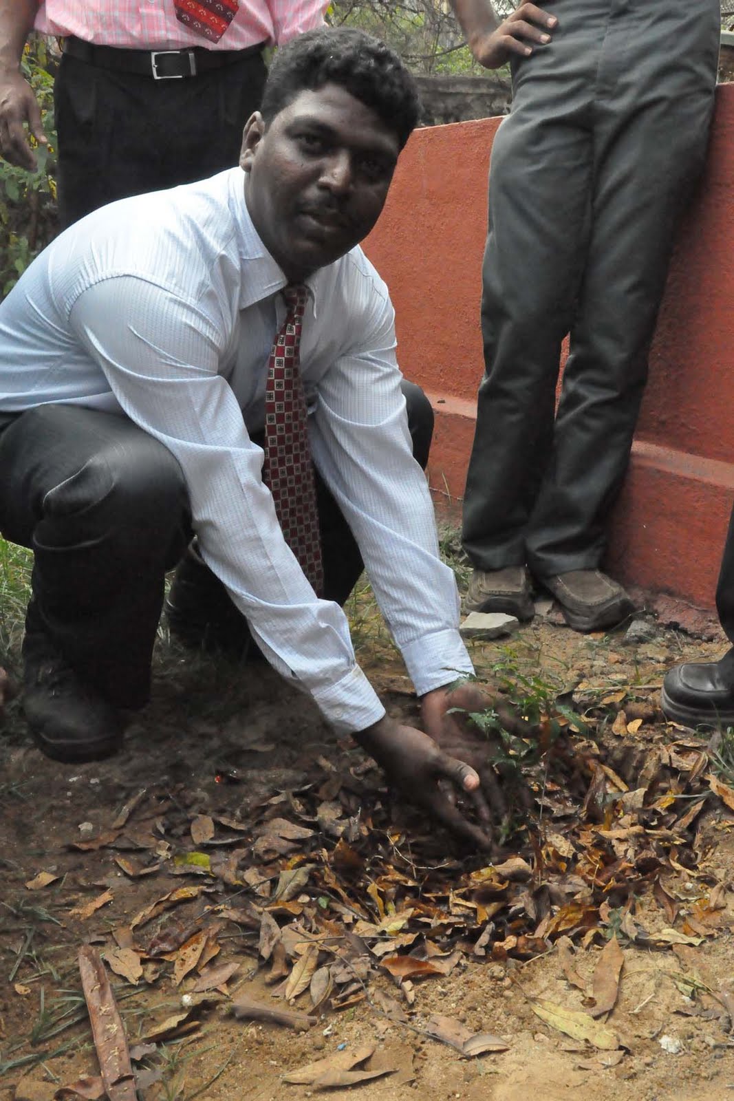 NSS - St.Thomas College: Virutcham - A tree planting Awareness programe