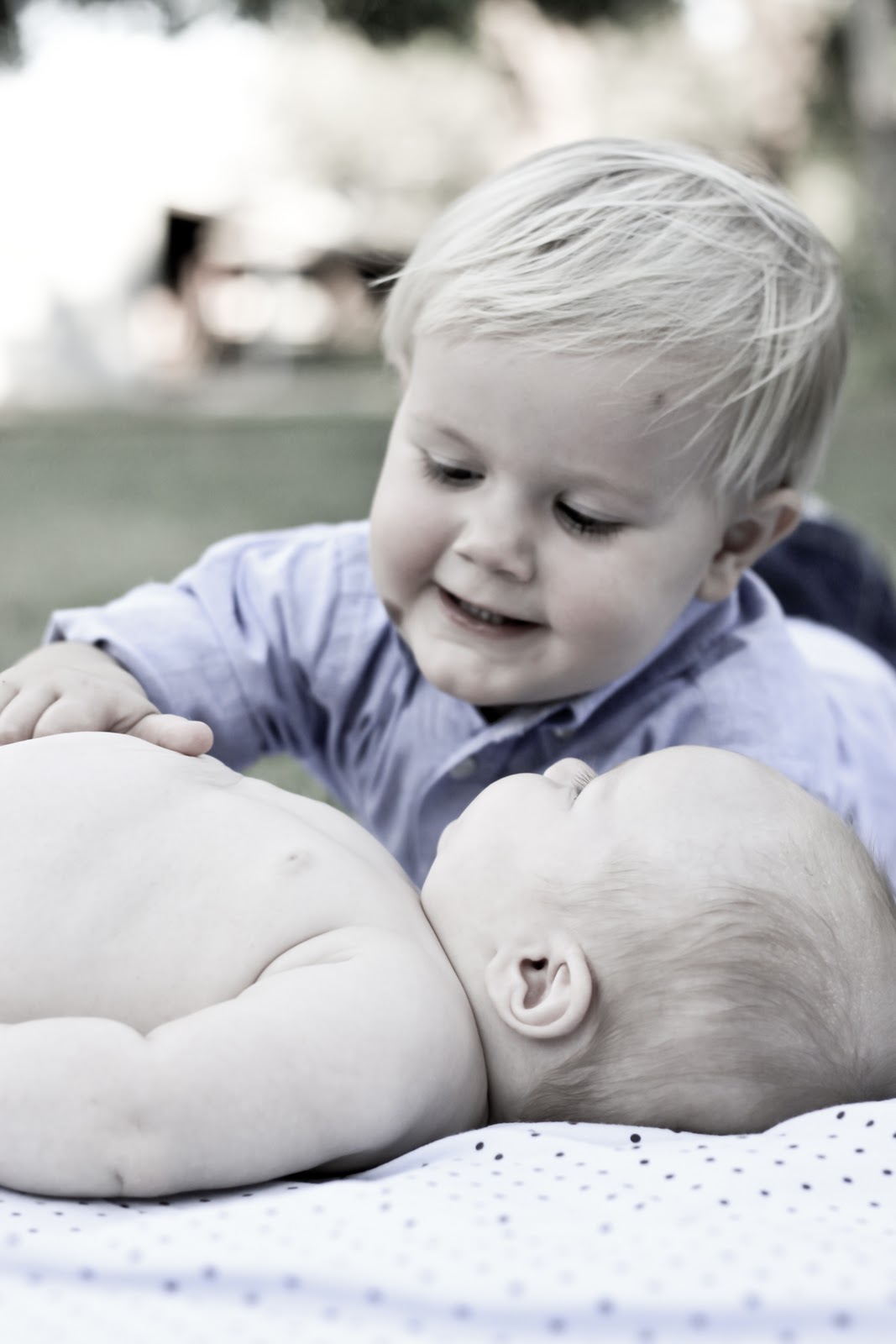 A. Leigh Photography: Infant Gallery