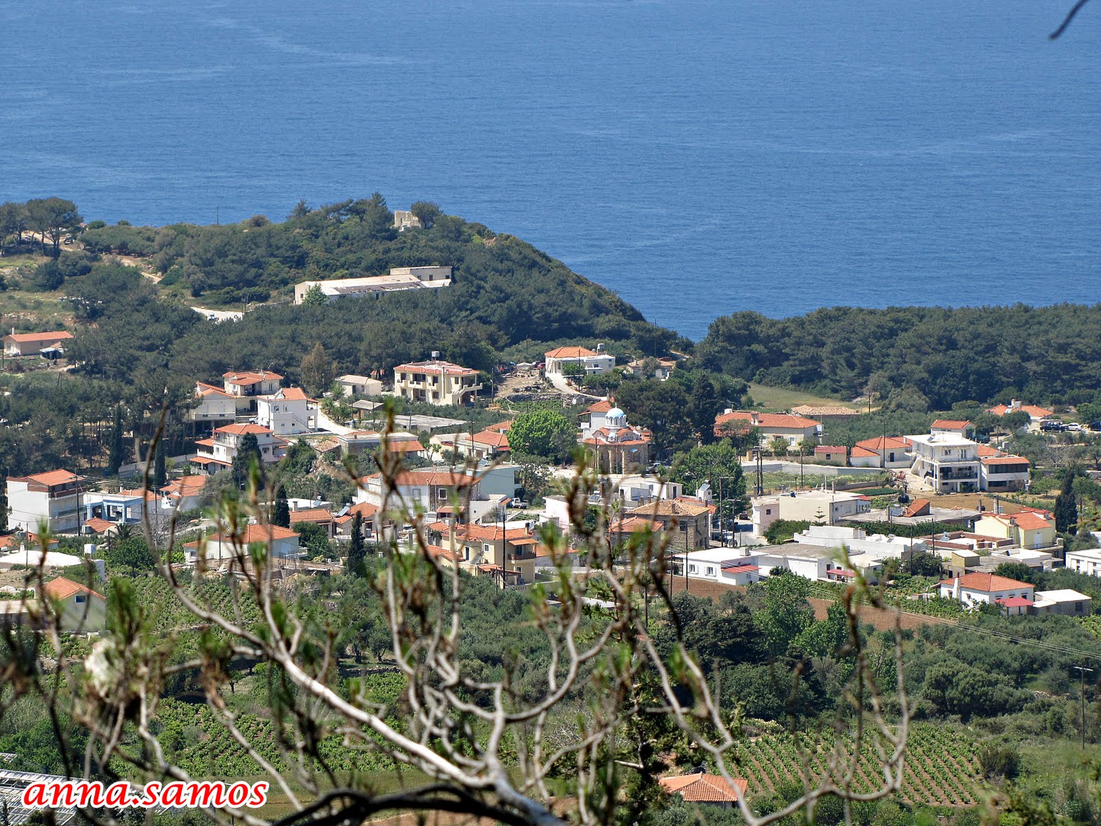 ΣΑΜΟΣ ΤΟ ΝΗΣΙ ΤΟΥ ΠΥΘΑΓΟΡΑ-Η ΚΥΡΑ ΤΩΝ ΑΜΠΕΛΙΩΝ 1: KONTAKEIKA