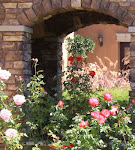 STEVEN SMITH LANDSCAPE, INC.: Plant of the Month: October 2011