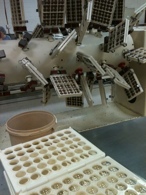 Retail Confectioners International: Day 1 Hauser Chocolates