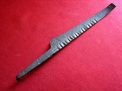 A Woodsrunner's Diary: November 2009