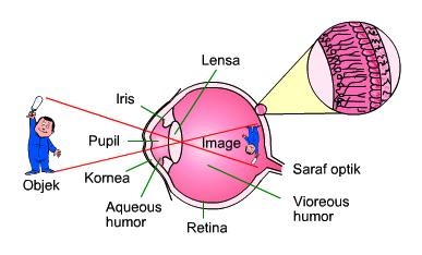 isamas54: Mata (Bagian 1) : Untuk Melihat dan Menambah Kecantikan