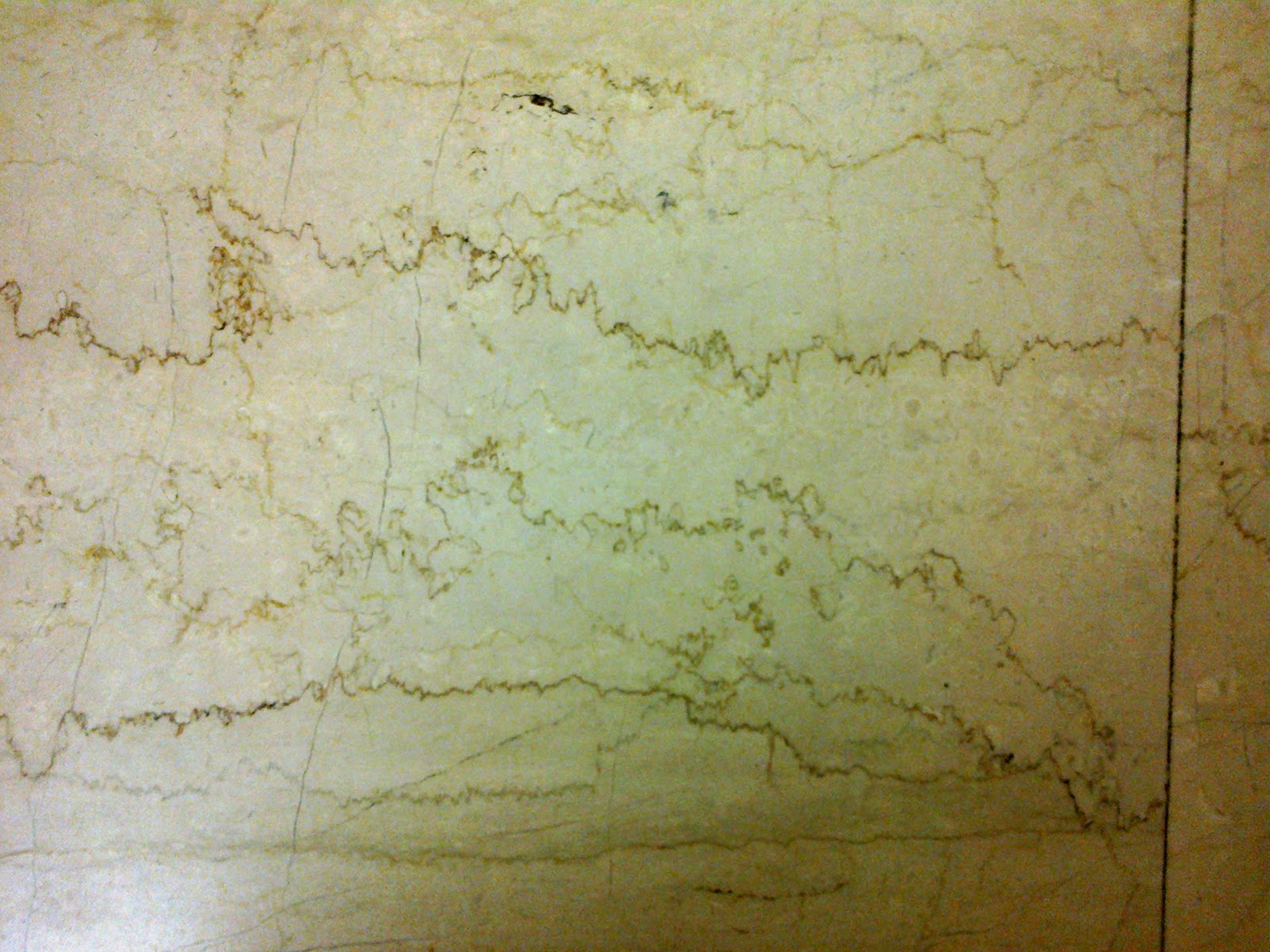 rocks and olives: Stylolites and sandstone statues