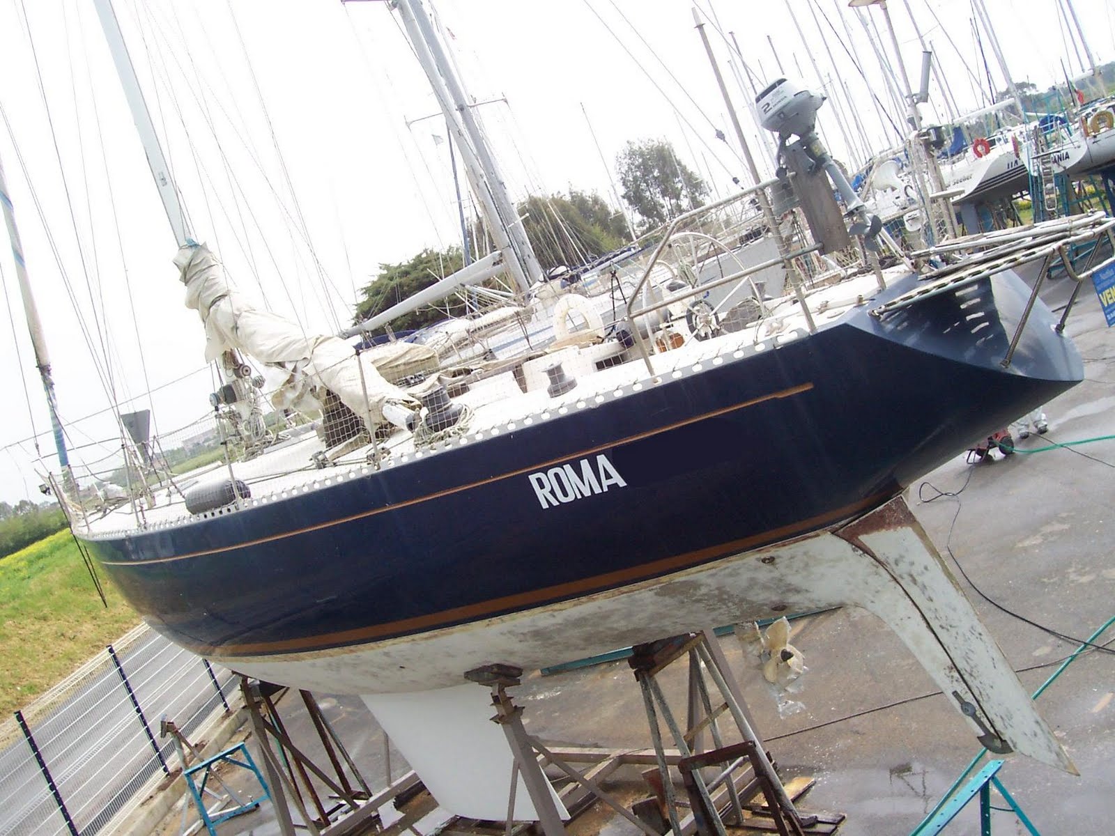 ORCA 43