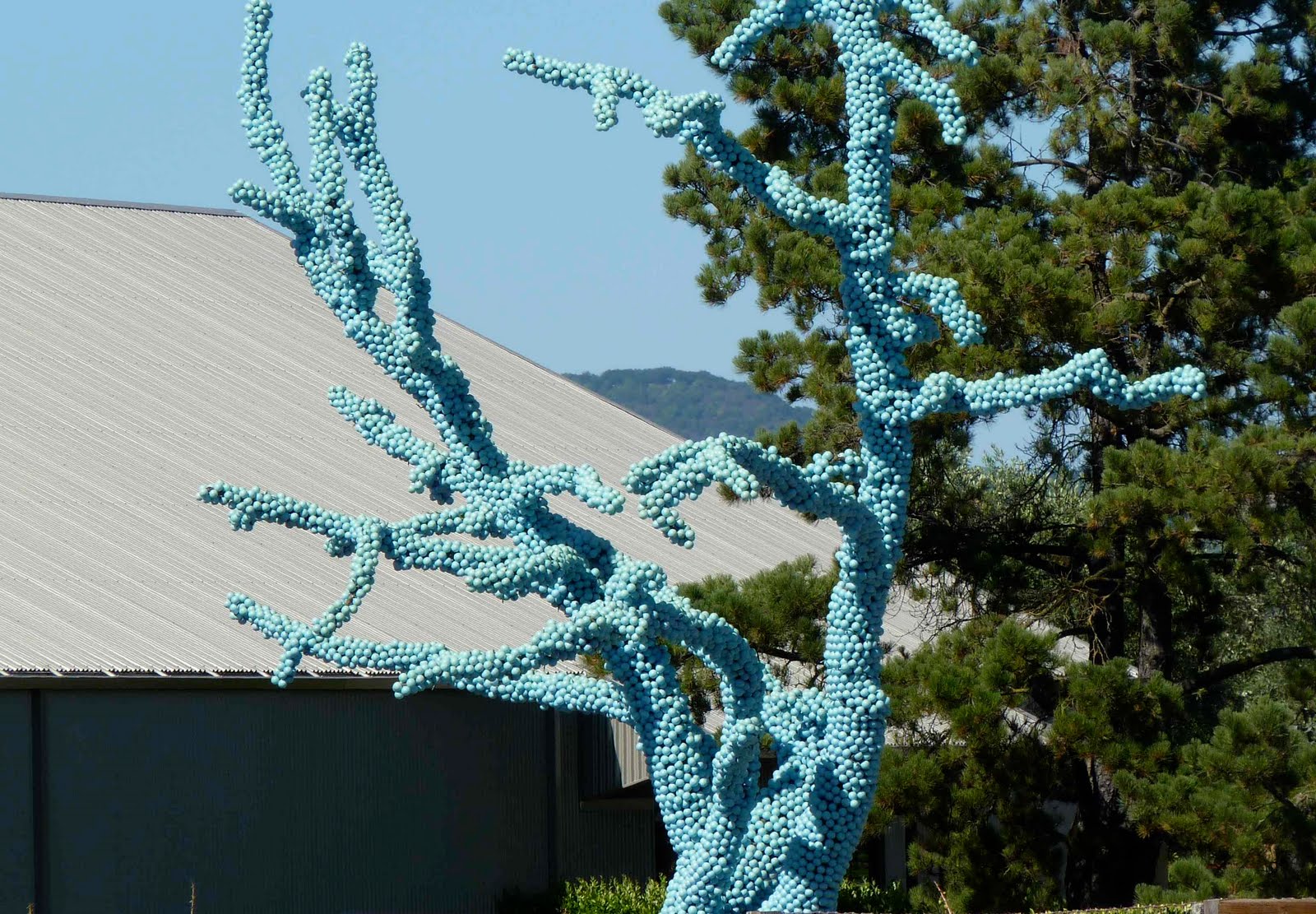 Walking San Francisco Bay: Highway 121, Schellville/Sonoma - July 10, 2010