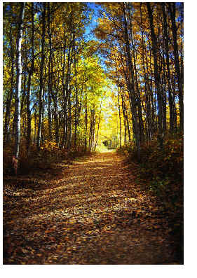 *Gospel-driven Disciples: How Did I Miss That?