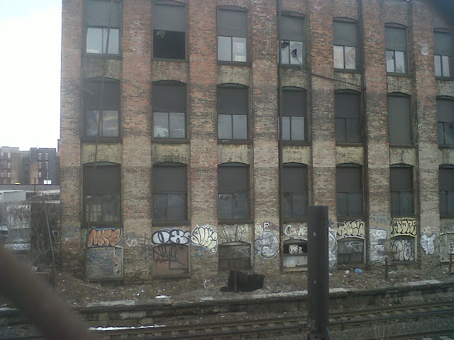 Straight Out Da Jungle: NYC Ghetto's, Bronx to Brooklyn, The Forgotten ...