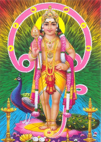 murugan_01.jpg (350×492) | Lord murugan, Lord murugan wallpapers, Lord ...