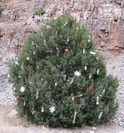 More Of Him: December 2010