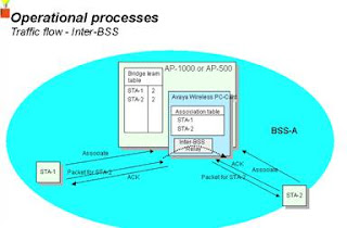 DolpHo Houses: Network Architecture IEEE 802.11