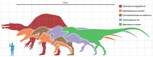 cgr v2.0: Humano vs Dinosaurio: comparando tamaños