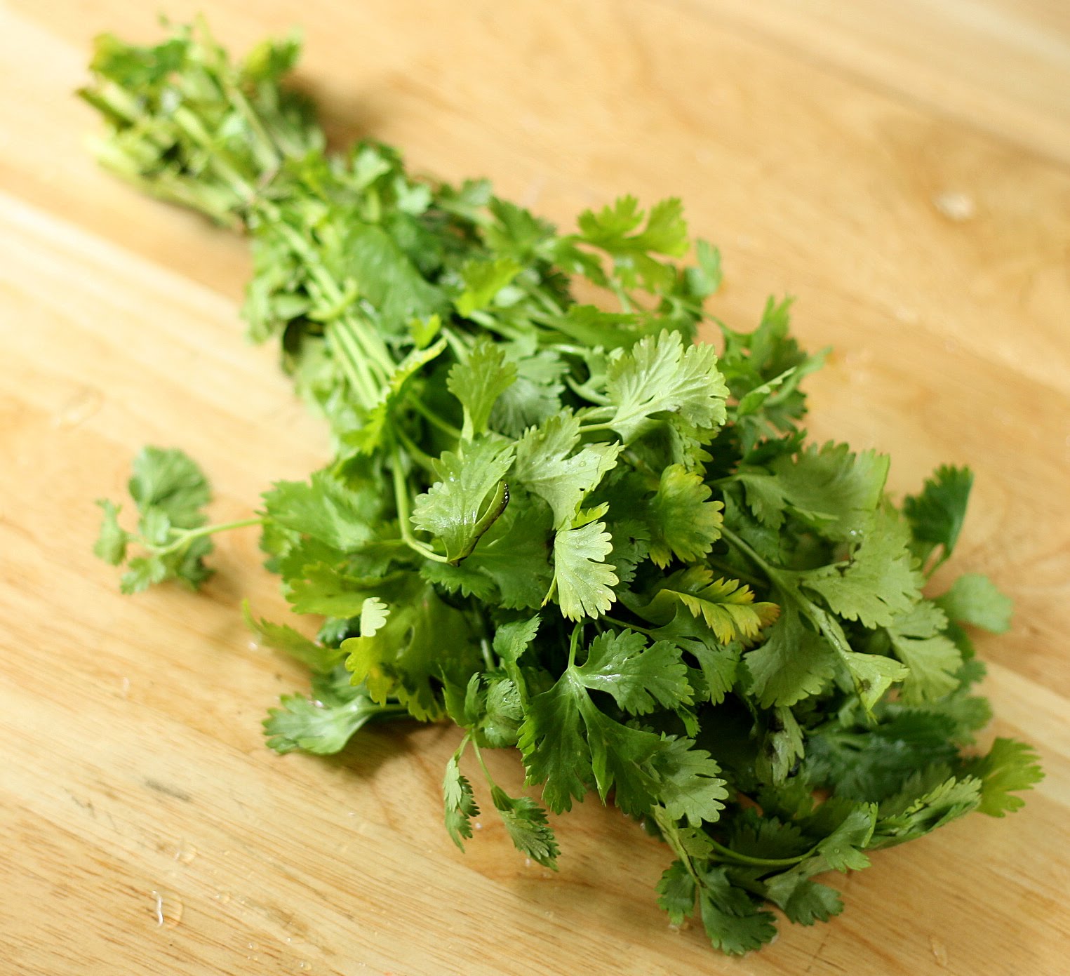 Mangio da Sola: Daring Cooks: Stacked Enchiladas and Giveaway Winner